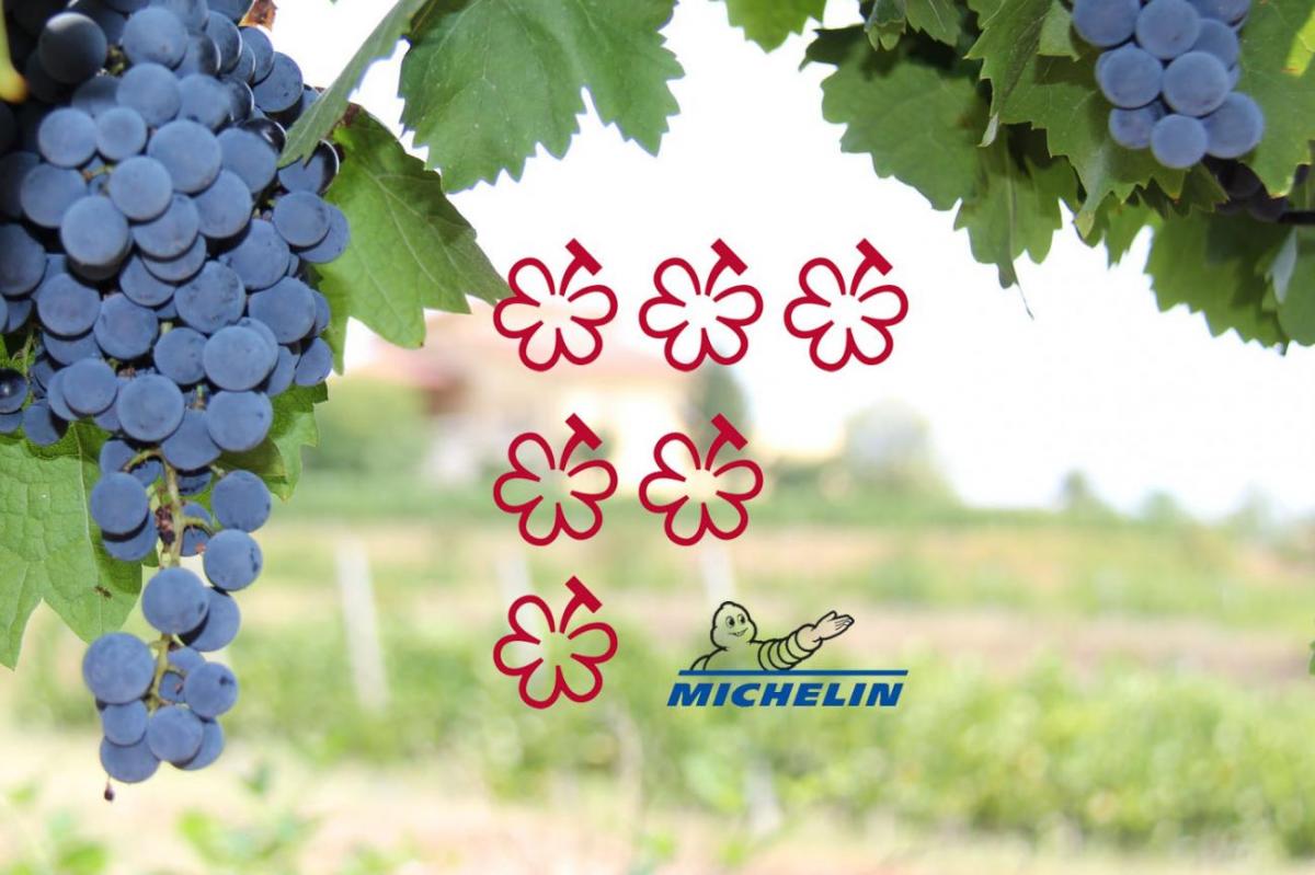 The MICHELIN Guide iși extinde expertiza in recomandari și introduce o ...